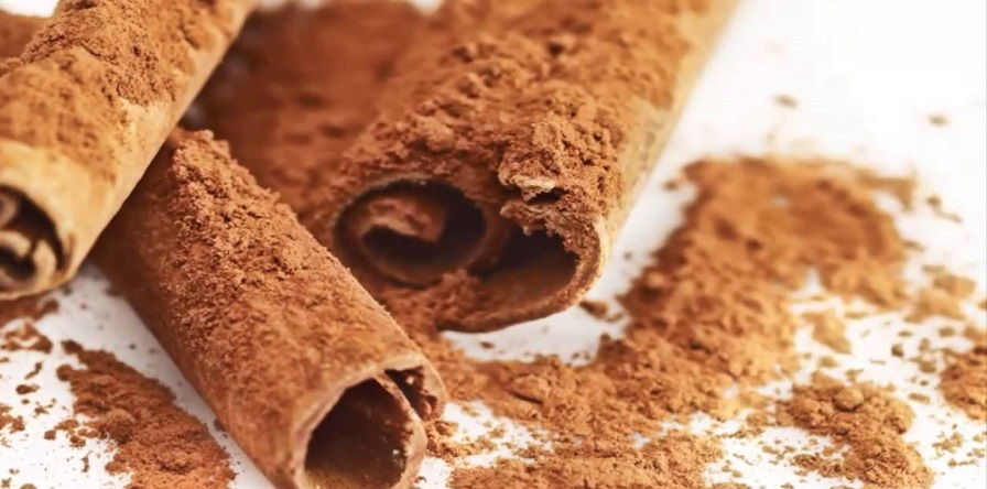 Dieta de la canela - Las mejores dietas del mundo